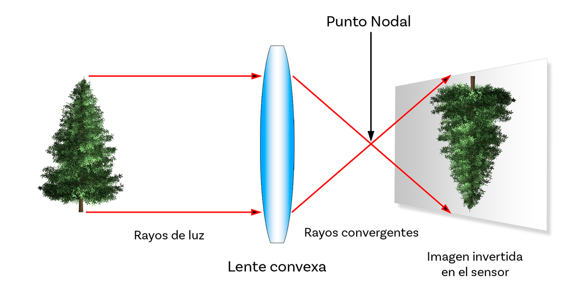 Qué es y cómo encontrar el Punto Nodal de tu objetivo - Jorge Lázaro